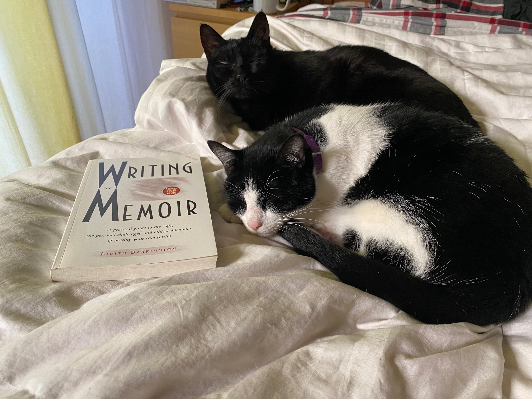 Remembering the Day When… – Words to Write by Podcast
