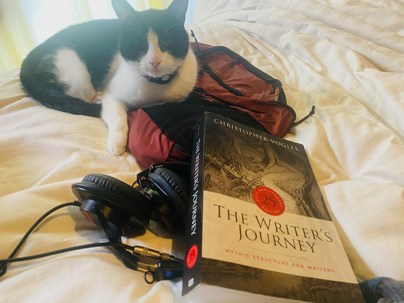 Female Shapeshifters and Other Questionable Archetypes – Words to Write ...